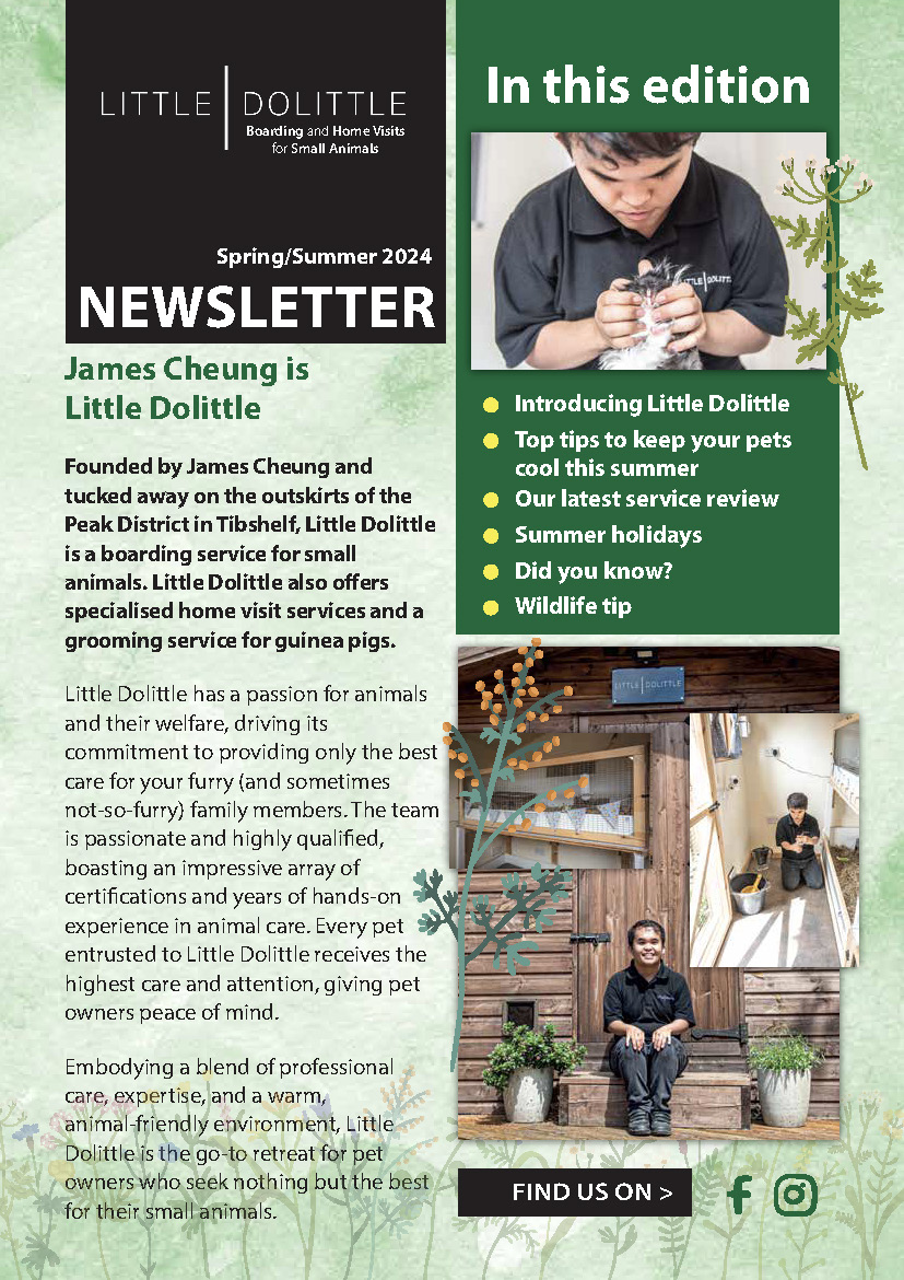 A fun and informative newsletter for Little Dolittle - evoke visual